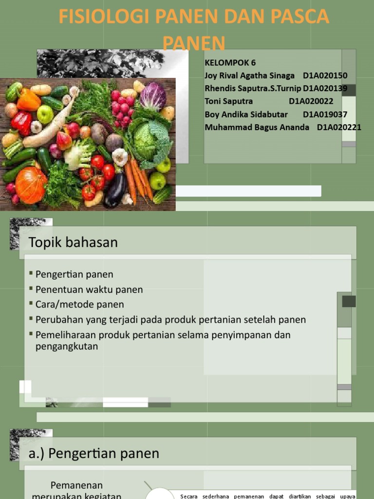Fisiologi Panen dan Pasca Panen Pertanian | PDF