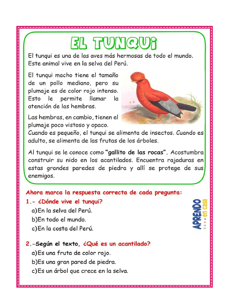 Comprensión Lectora .El Tunqui | PDF