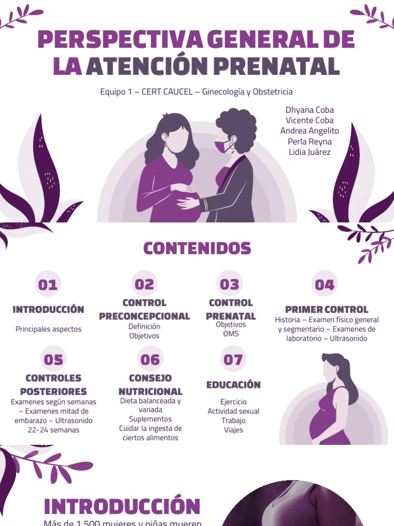 Perspectiva General de La Atención Prenatal Con Nombres | PDF