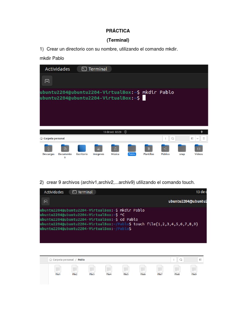 Práctica Sobre El Uso de La Terminal en Ubuntu | PDF