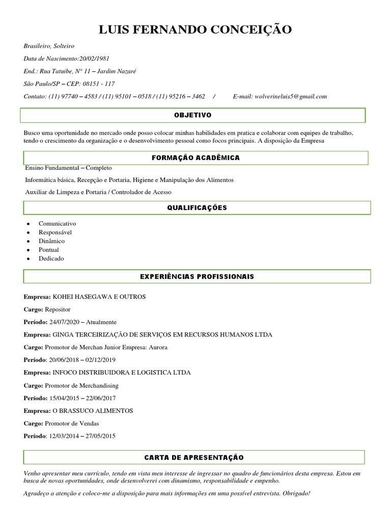 Luis Fernando - Curriculo | PDF