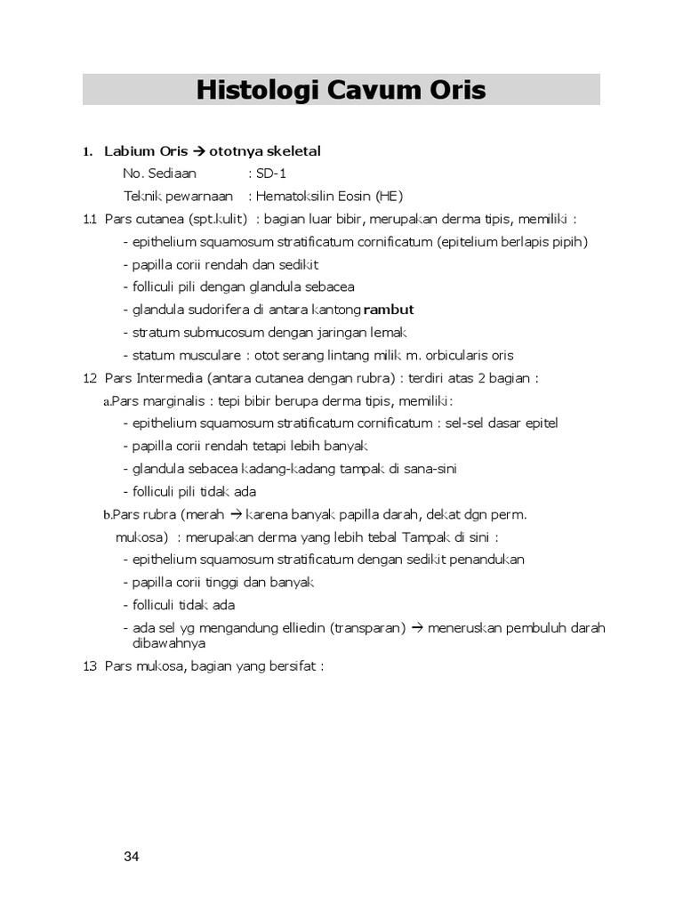 Struktur Histologi Cavum Oris | PDF