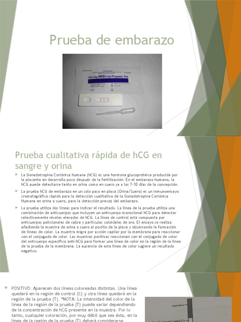 Prueba de Embarazo | PDF