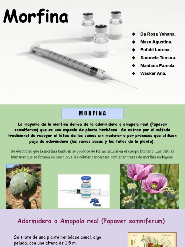 Morfina | PDF