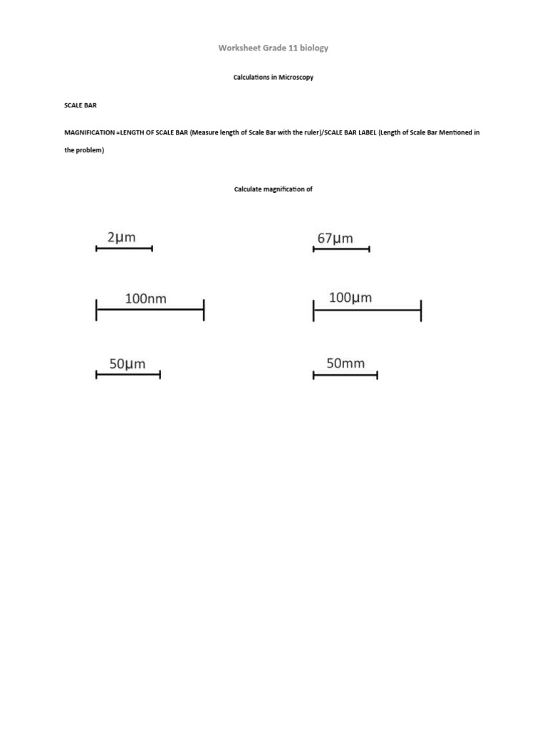 Calculating Magnification in Biology | PDF