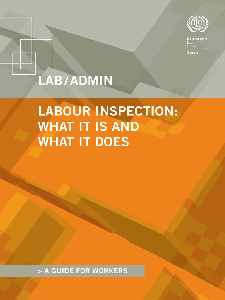 Labour Inspection | PDF