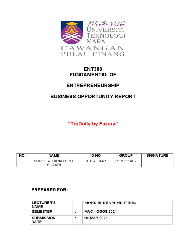Ent300 Trudolly | PDF | Swot Analysis | Business