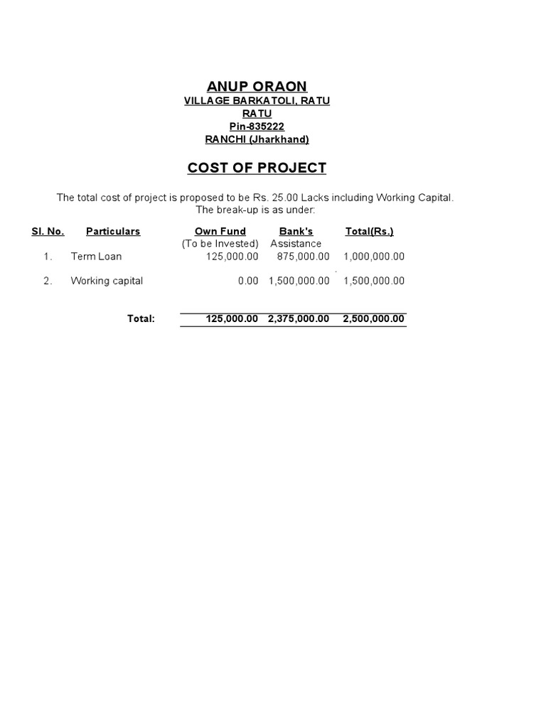 Project Report For Term Loan and CC Loan | PDF