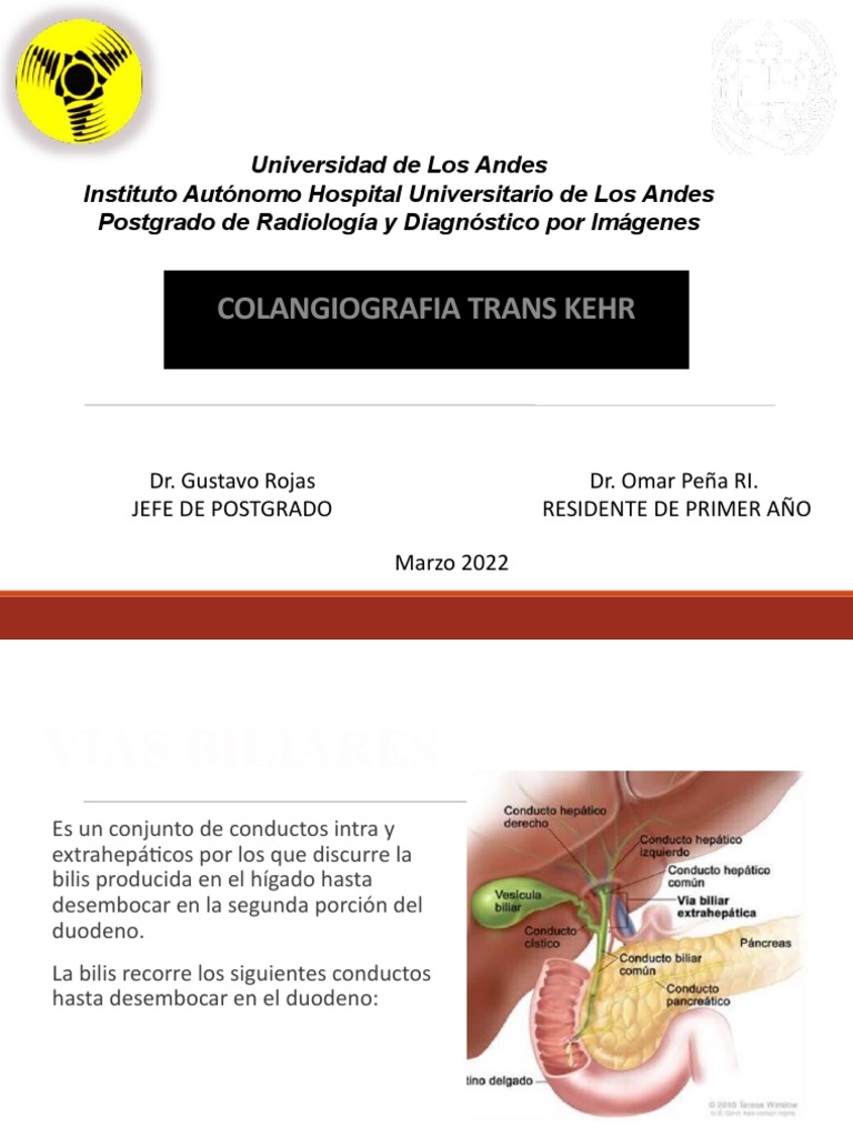 Colangiografía Trans Kehr: Procedimiento y Evaluación | PDF | Vesícula ...