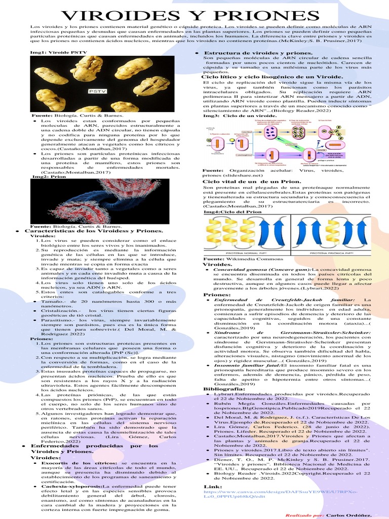 Viroides y Priones | PDF | Virus | Rna