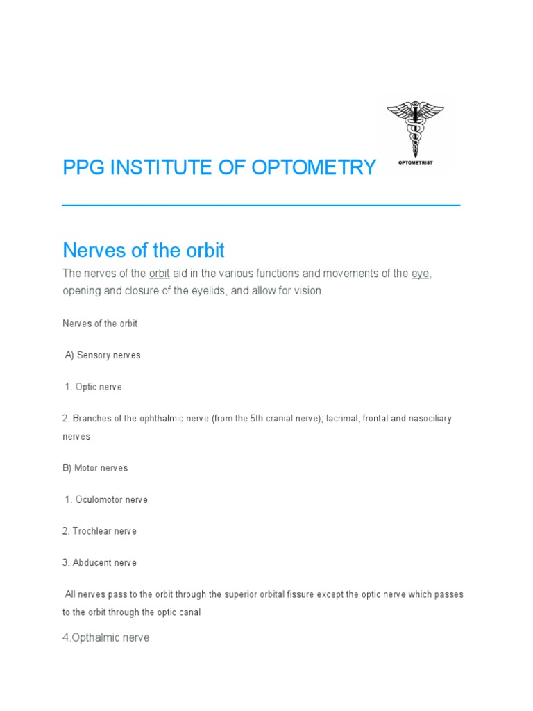 Nerves of The Orbit | PDF | Human Nose | Human Eye