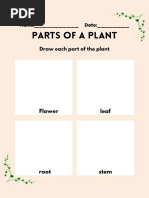 Bricks Reading 250 (1) SB | PDF