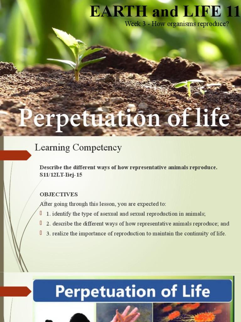 Perpetuation of (Life Asexual) | PDF