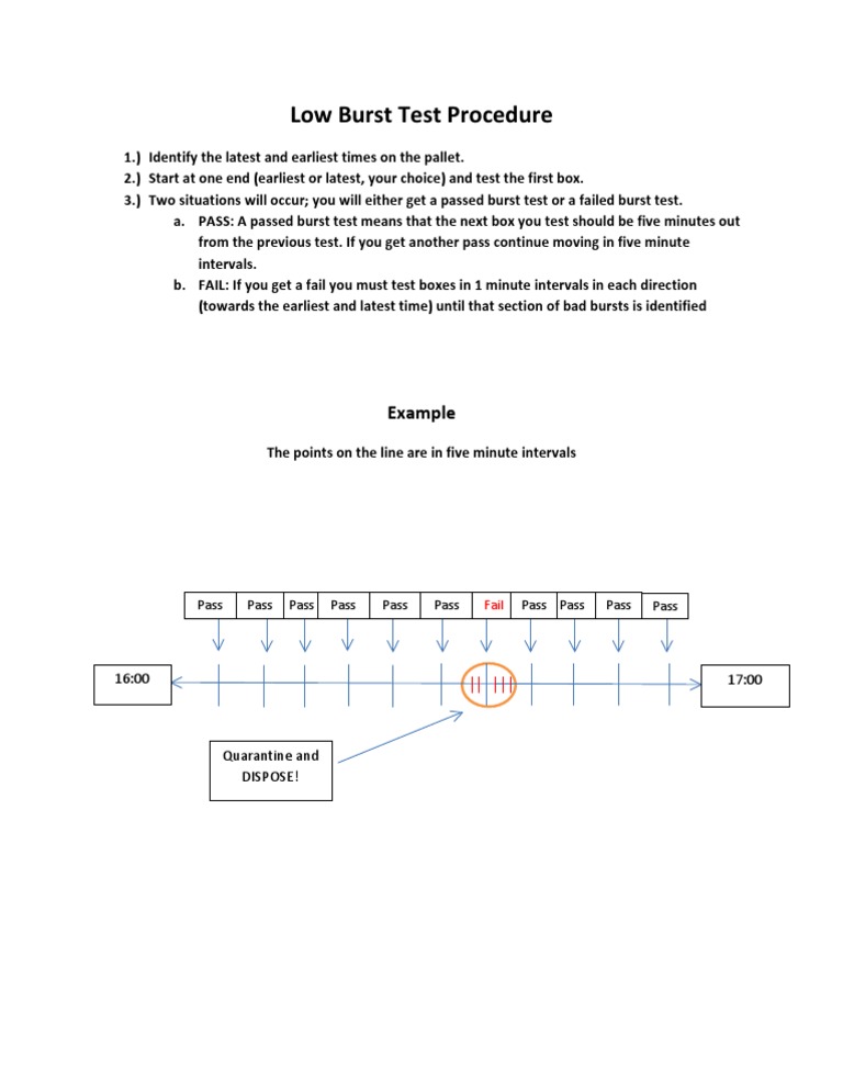 Low Burst Test Procedure | PDF