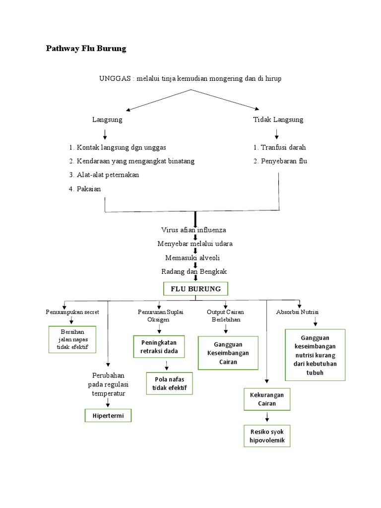 Pathway Flu Burung Bigga | PDF