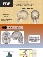 Regiones de La Cabeza I Anatomía Humana | PDF | Anatomía | Anatomía humana