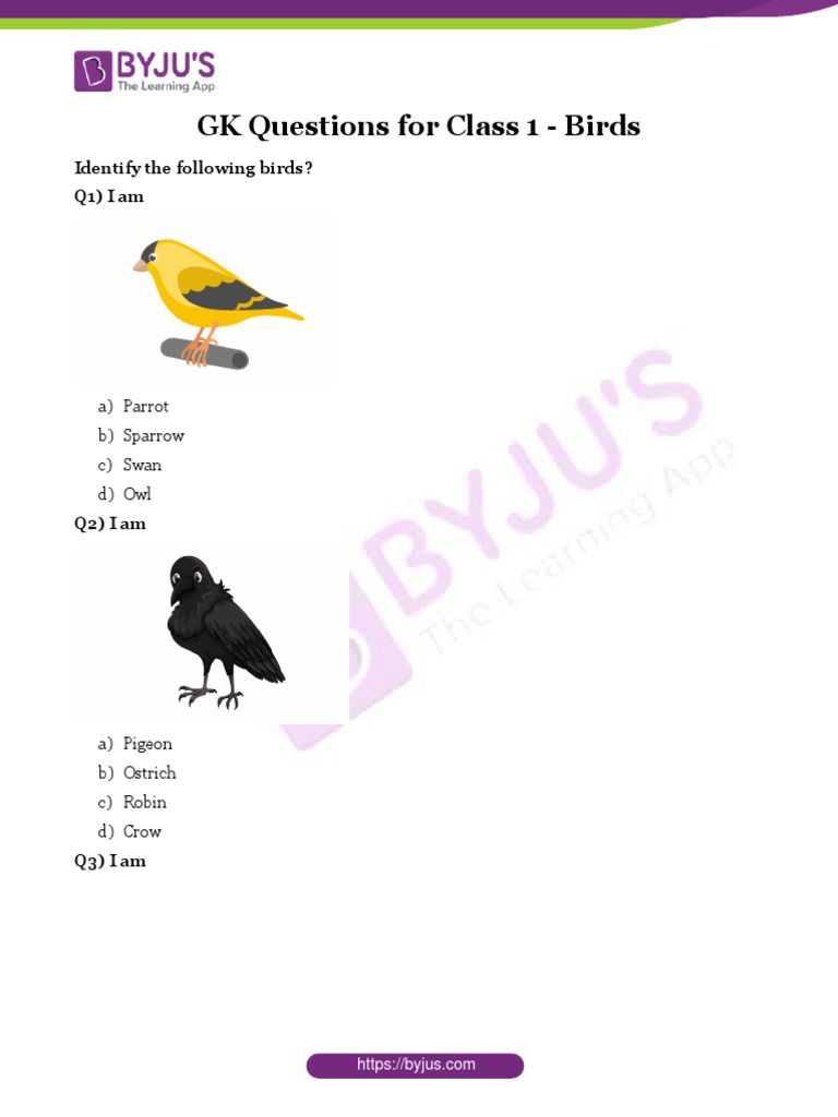 GK Nursery | PDF