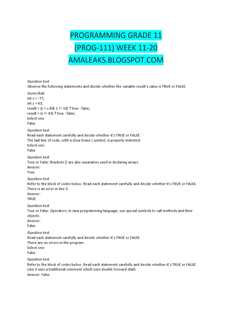 Java Programming True/False Questions | PDF