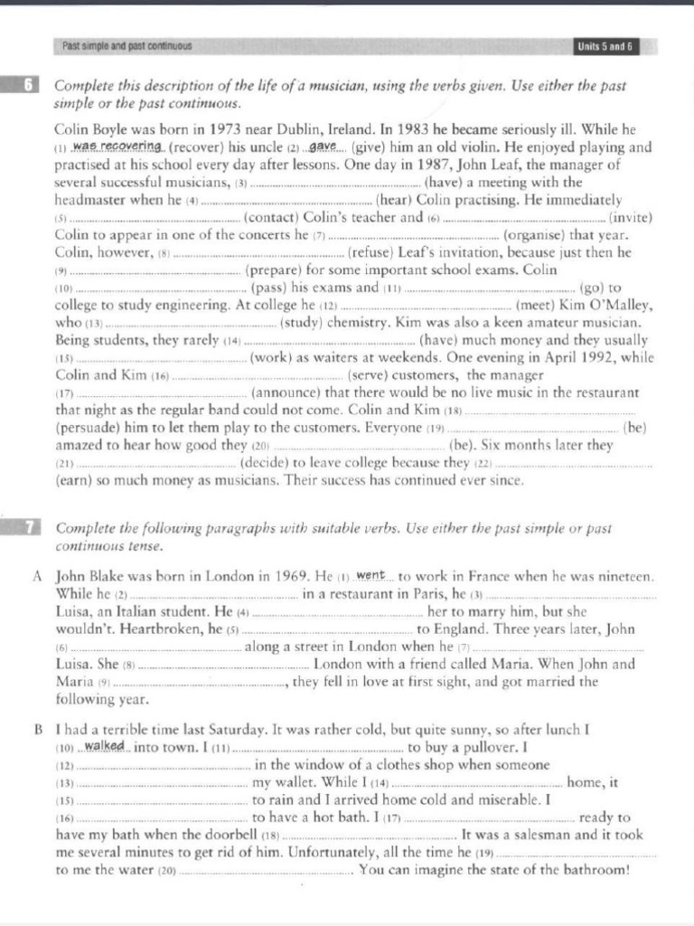 Past Simple Vs Past Cont Worksheet | PDF