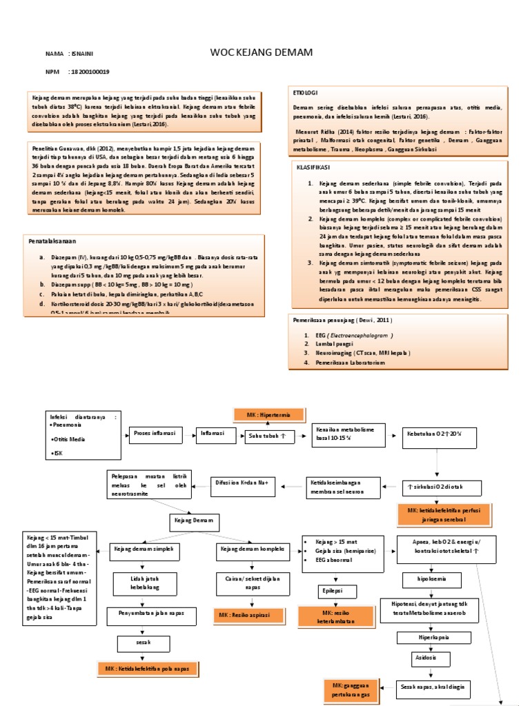 Woc Kejang Demam | PDF