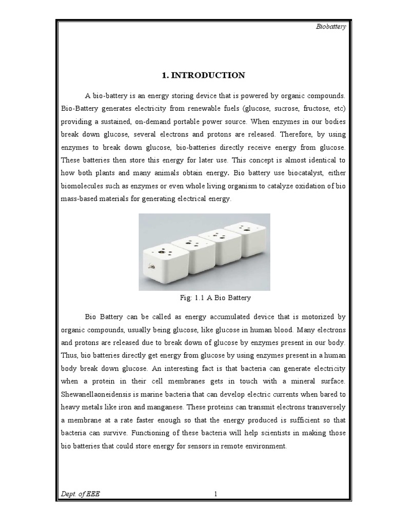 Biobattery | PDF | Anode | Cathode