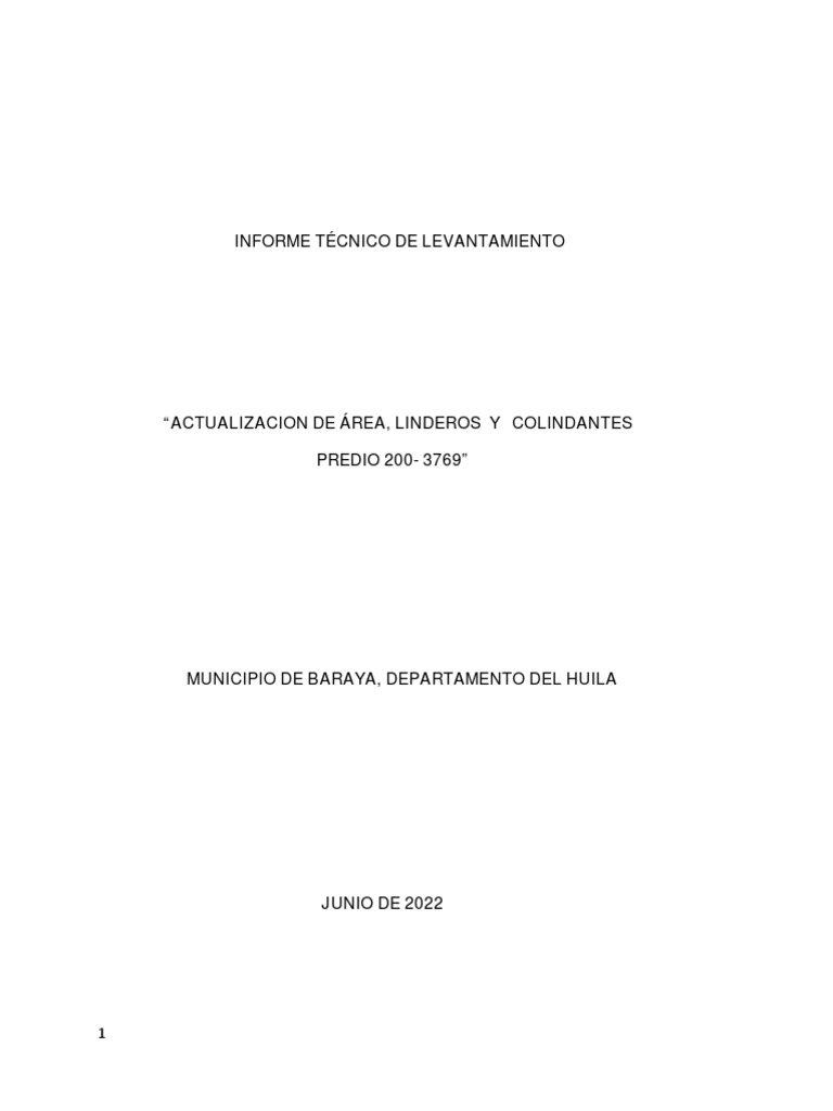 Informe Técnico de Levantamiento | PDF | Geodesia | Datos geográficos e información
