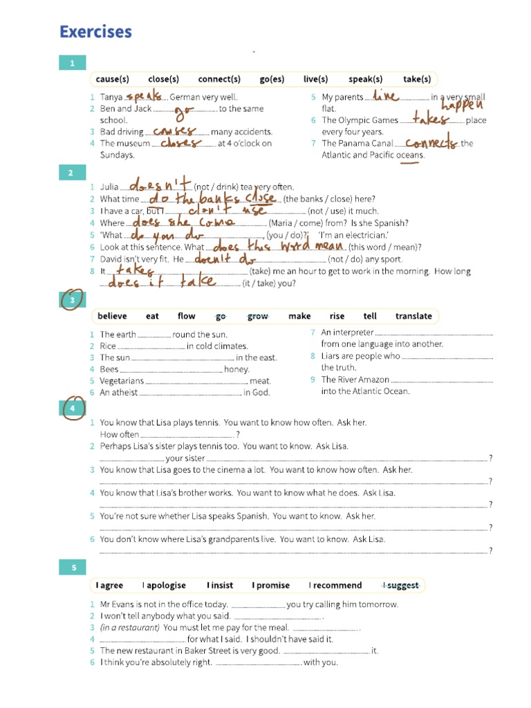 Present Simple Practice Exercises | PDF