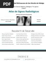 Signos Radiológicos Del Torax | PDF | Pulmón | Tórax