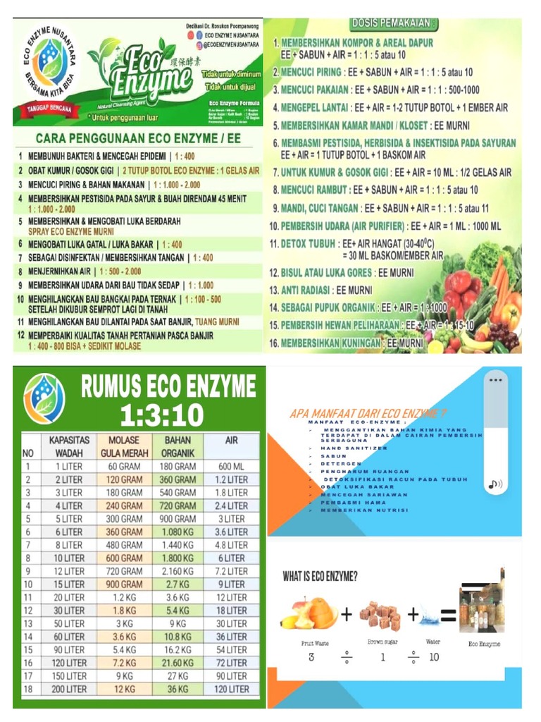 Eco Enzim | PDF
