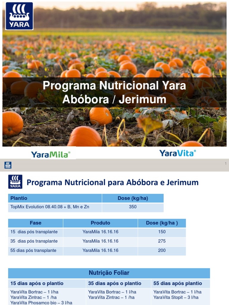 Programa Nutricional - Abóbora | PDF
