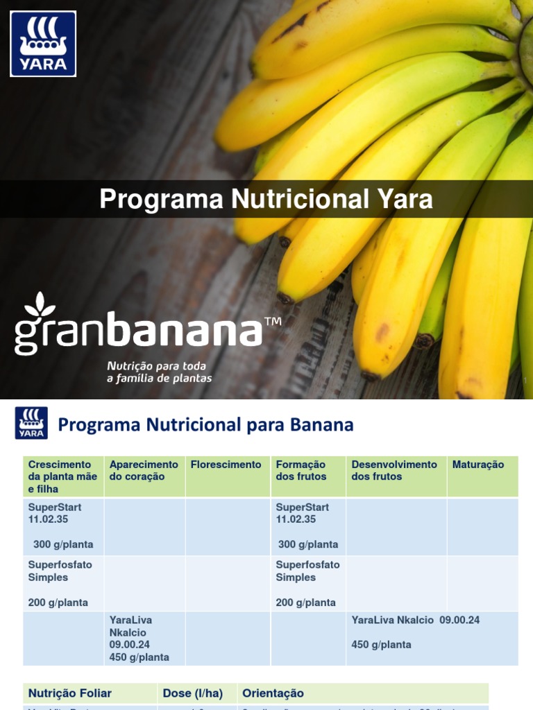 Programa Nutricional - Banana | PDF
