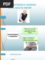 GUÍA de PROCEDIMIENTOS Control de La Diuresis | PDF | Vejiga urinaria ...