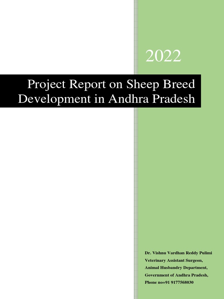 Sheep Project Report | PDF | Sheep | Internal Rate Of Return