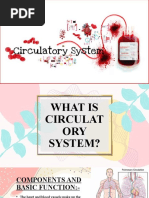 Overview of the Circulatory System | PDF | Blood Vessel | Heart
