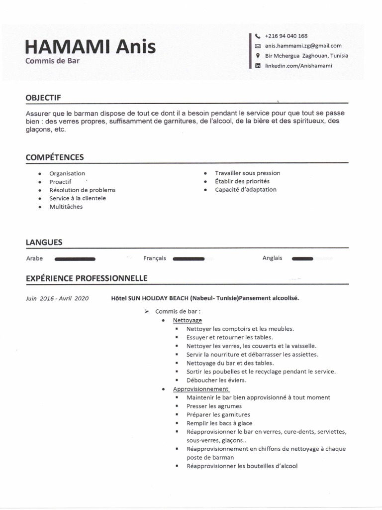 CV Can Anis HAMMAMI Avec Signature | PDF