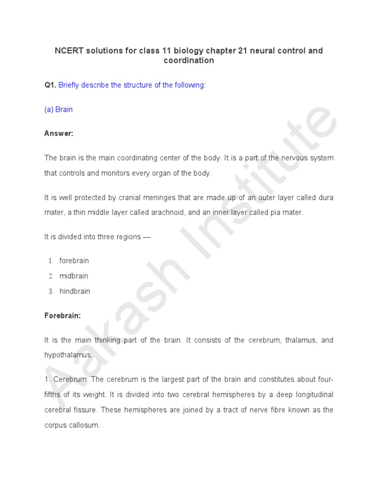 Ncert Solutions Class 11 Biology Chapter 21 Neural Control and ...