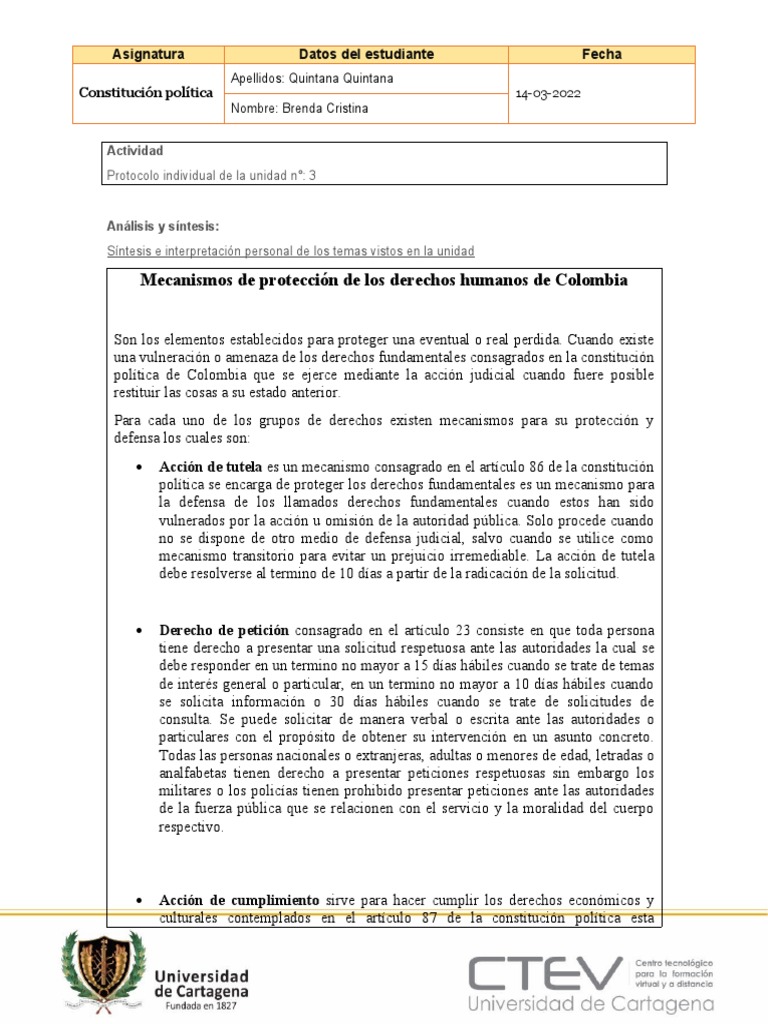 Protocolo Individual Constitucion Politica 3 | PDF | Derecho Constitucional | Habeas corpus