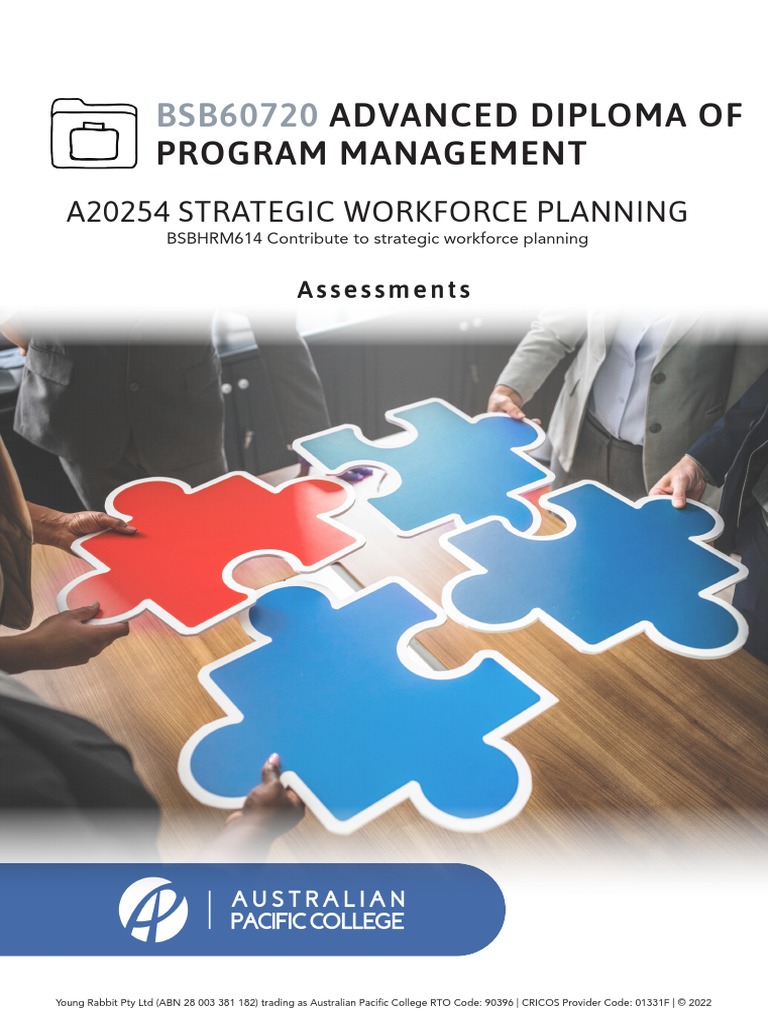 A20254 Strategic Workforce Planning - Assessments - v1.2 | PDF | Cost ...