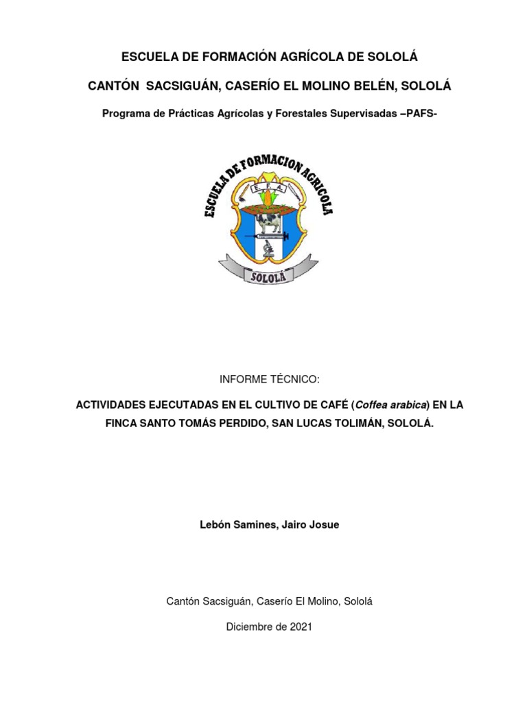 Informe Final - PAFS - Jairo Josue Lebón Samines | PDF | Colmena ...
