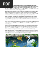 The Ugly Duckling | PDF