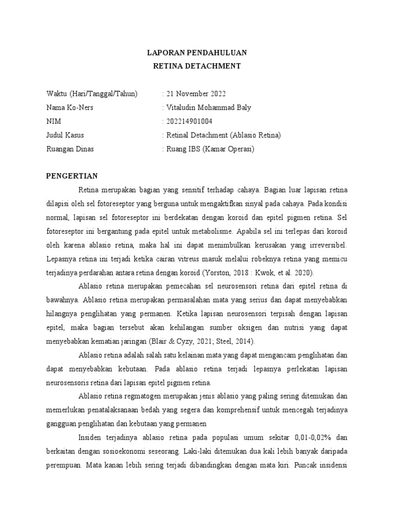 LP Retinal Detachment | PDF