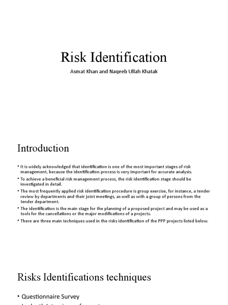 Effective Risk Identification Techniques | PDF