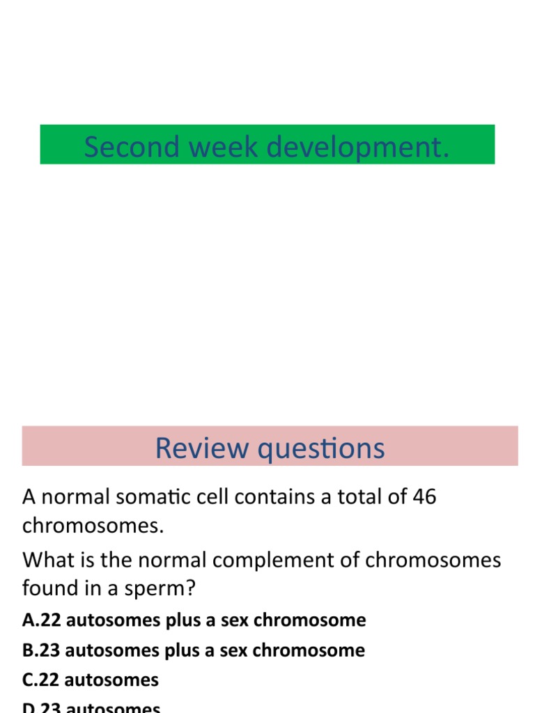 2nd Week Development | PDF | Implantation (Human Embryo) | Medical ...