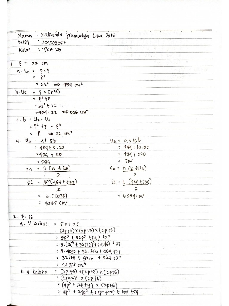 TKA2B - 16 - Salsabila Pramudya Eka Putri - 204308022 (Tugas 2) | PDF
