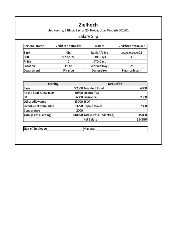 Monthly Salary Slip for Finance Intern | PDF