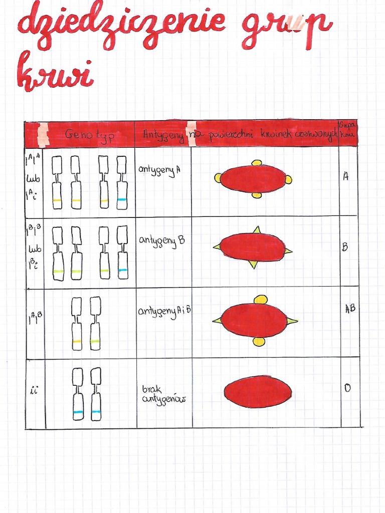 Dziedziczenie Grup Krwi | PDF