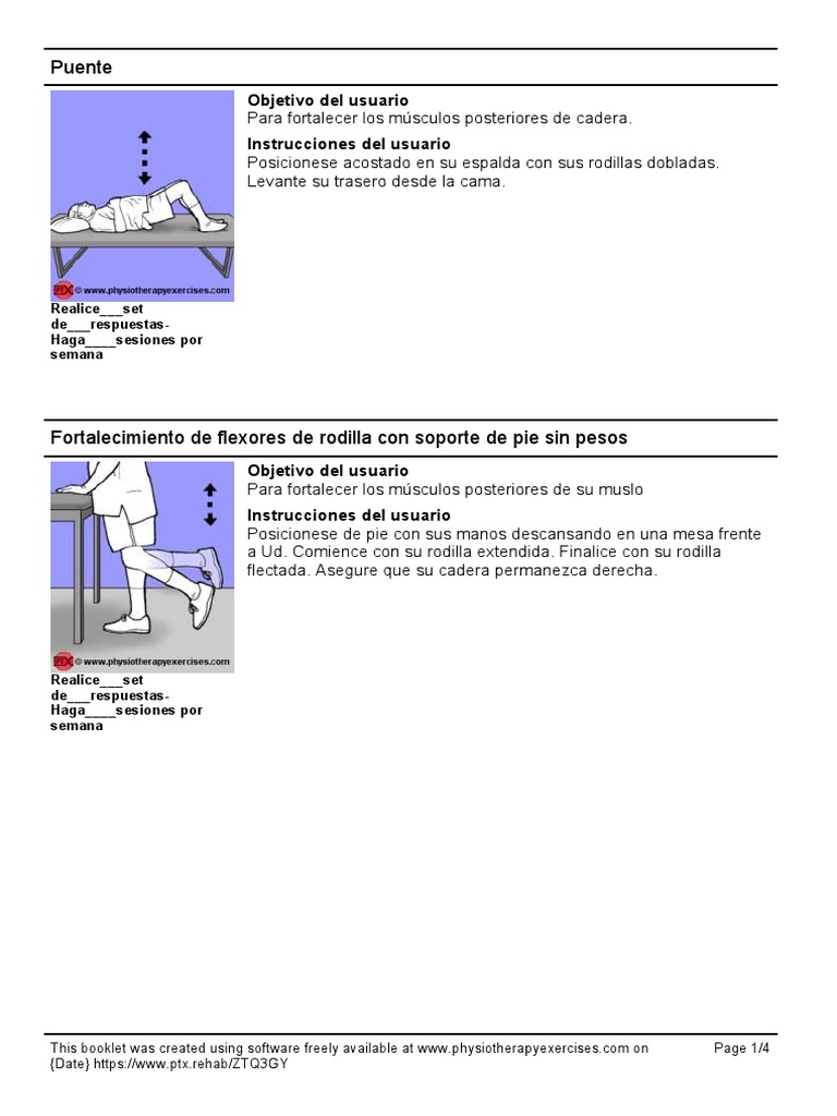 Pauta de Ejercicios | PDF