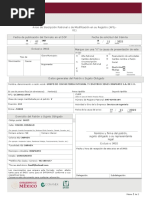 AM-SRT Formato Editable | PDF