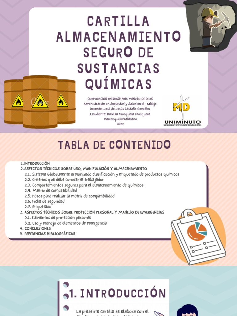 Actividad 6 - Cartilla Almacenamiento Seguro de Sustancias Químicas | PDF