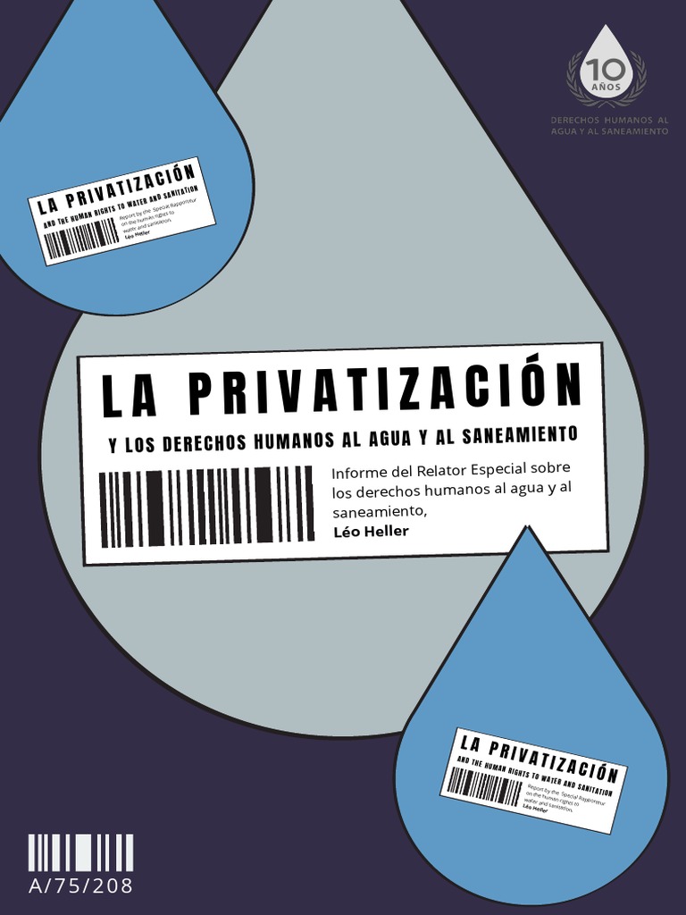Privatization ES | PDF | Derechos humanos | Privatización